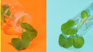 Tarel skincare story on Centella Asiatica: early-stage breakouts, and